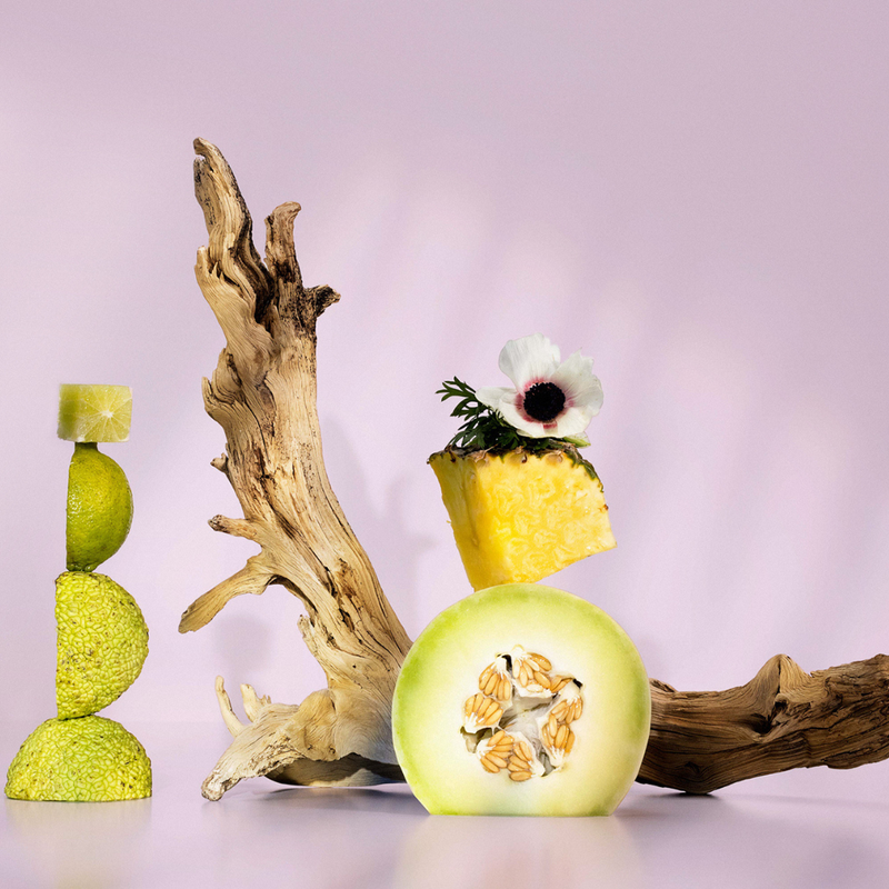 Coco Blush Eau de Parfum – Northern Belle Boutique